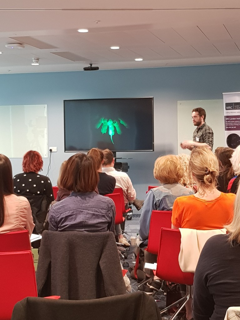 Scientists & artists collaborate to respond to the phrase ‘A Picture of ...