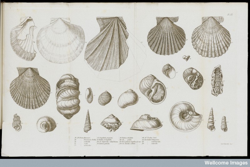 CSC researchers on their latest findings