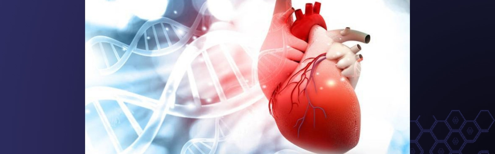 Researchers find new genetic explanation for heart condition