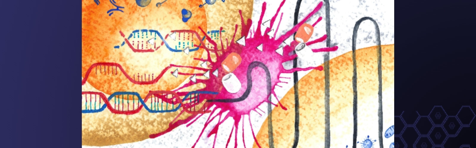 Microbial allies: bacteria help fight against cancer