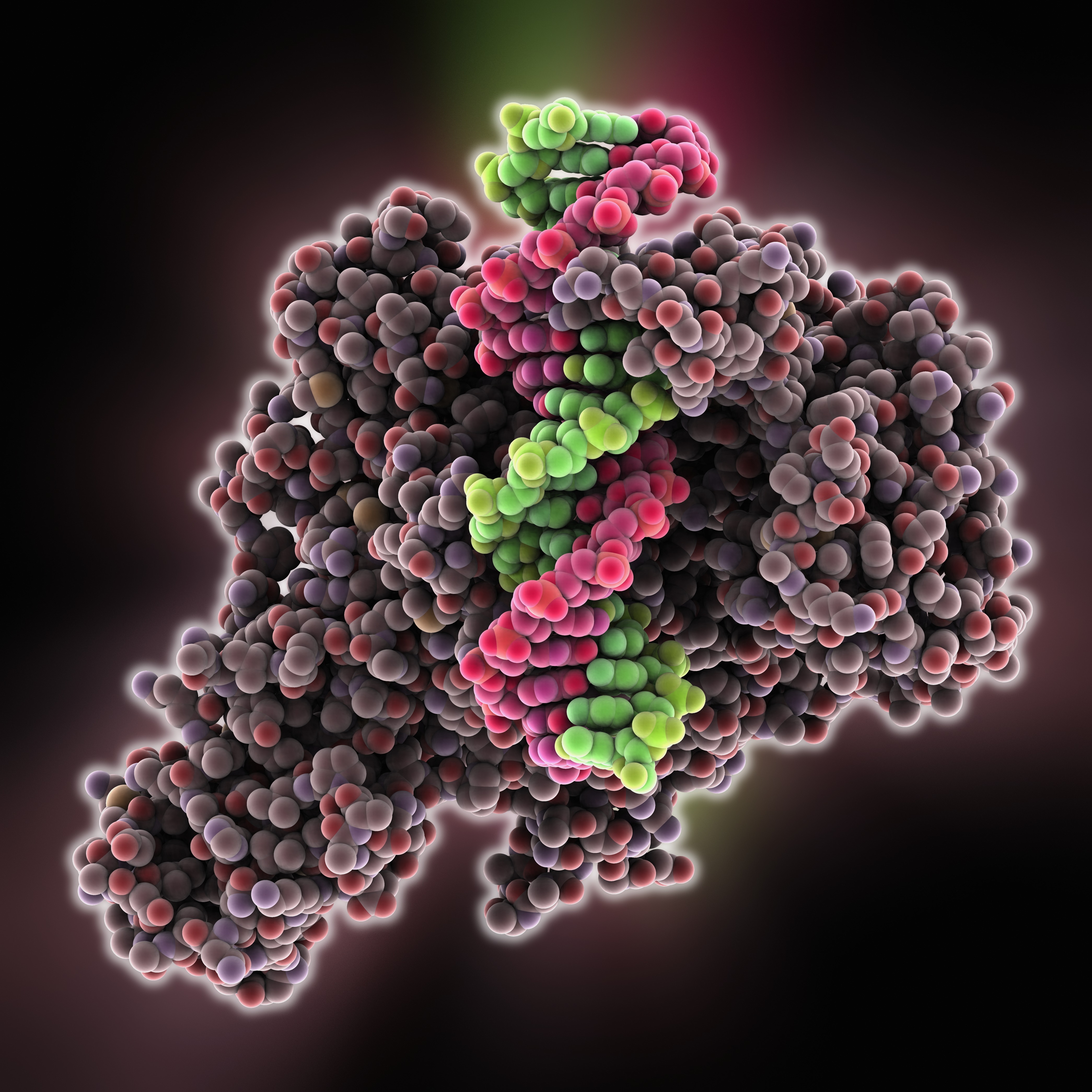 New source of DNA mutation revealed