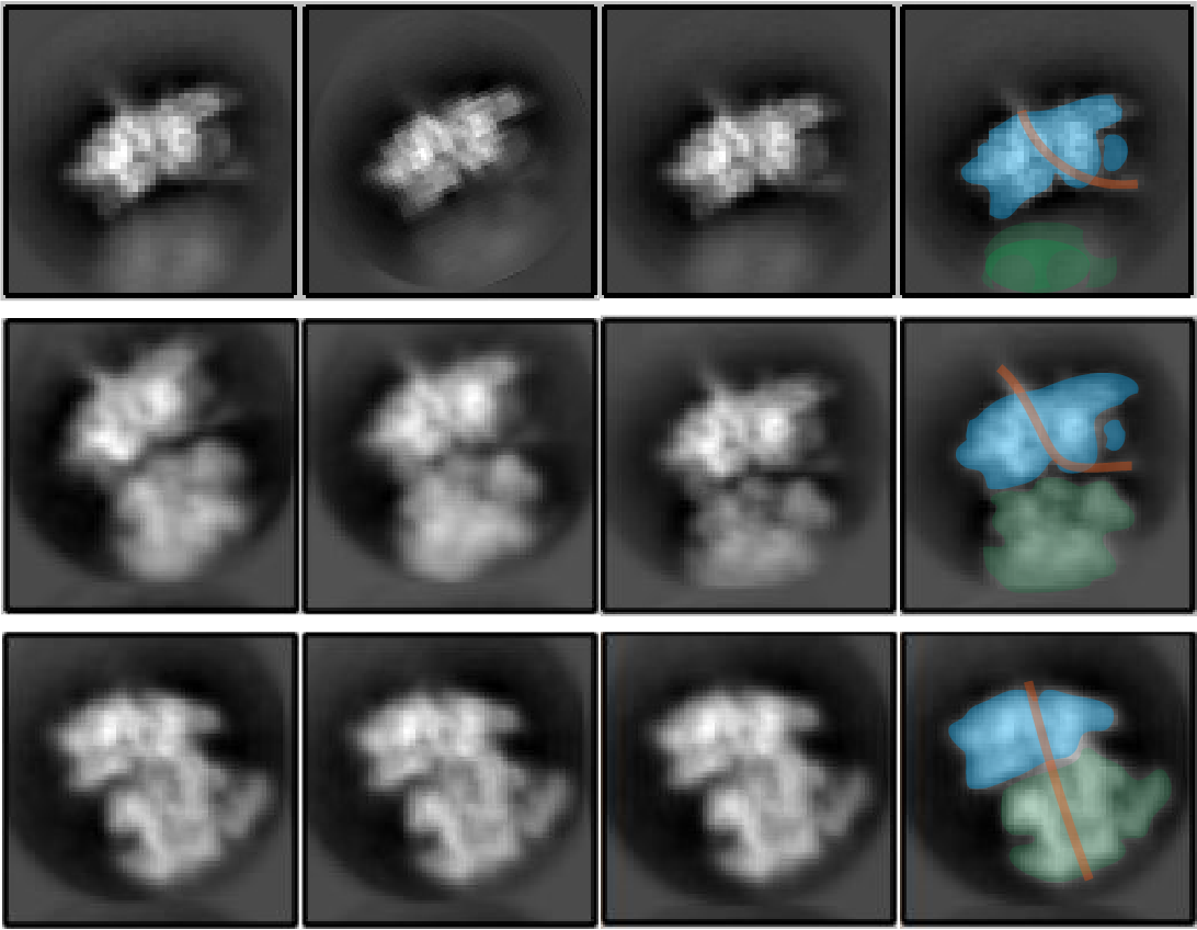 The four-step guide to helicase loading for DNA replication