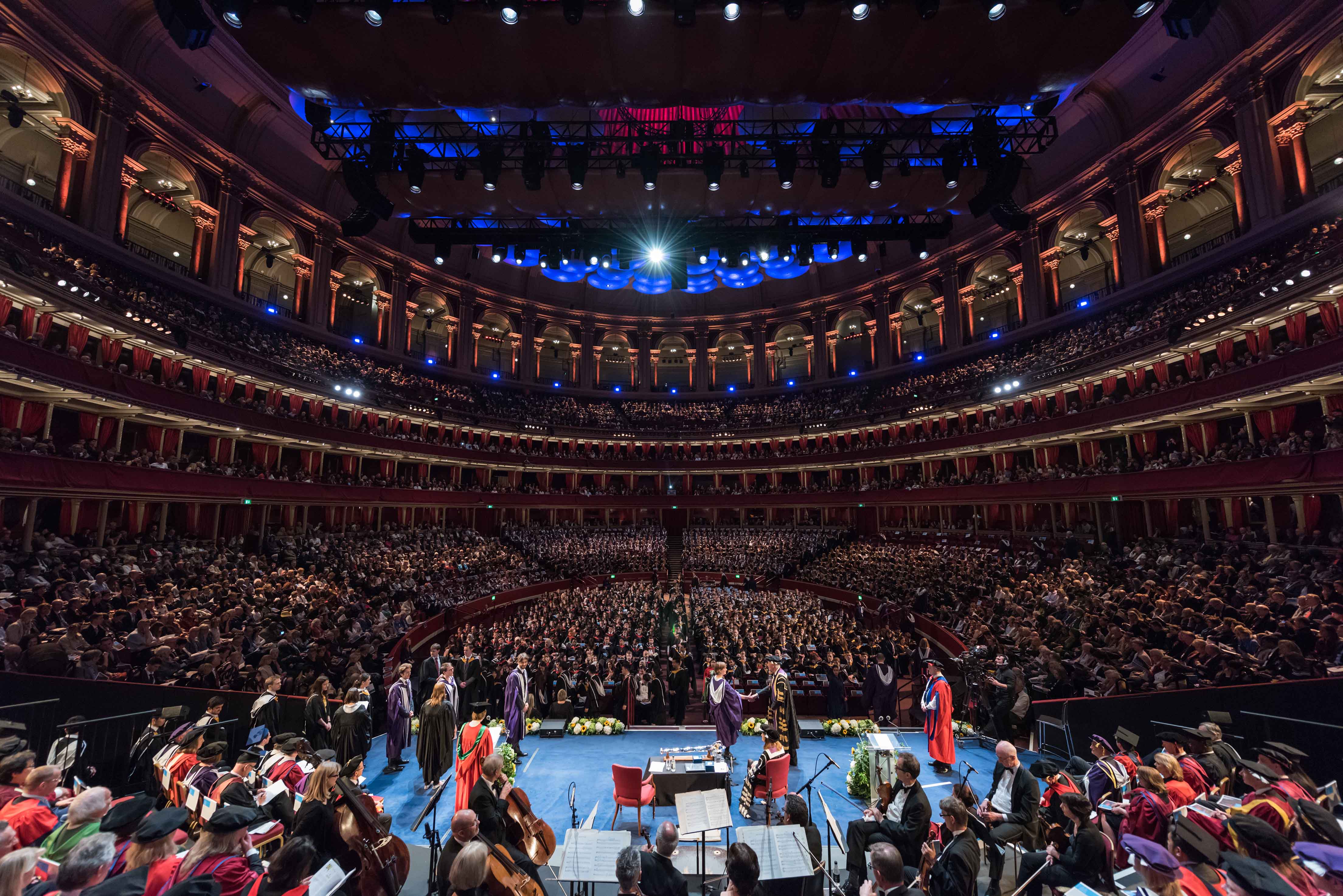 Celebrating PhD Graduation Success