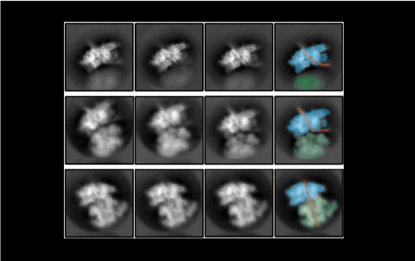 The four-step guide to helicase loading for DNA replication