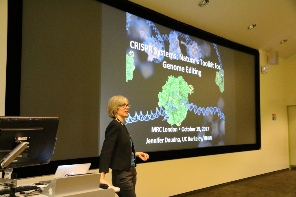 Holy Moly! Professor Jennifer Doudna discusses the discovery of CRISPR-Cas9