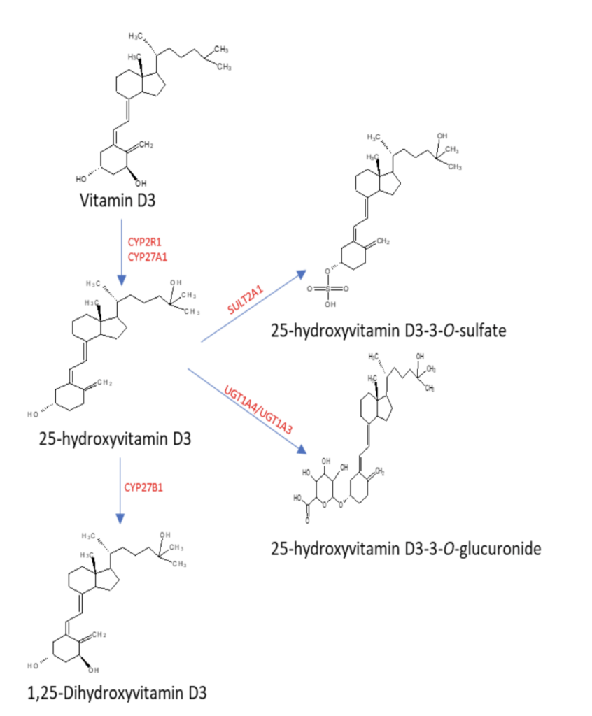 Vitamin D bioanalysis research group | Carl Jenkinson