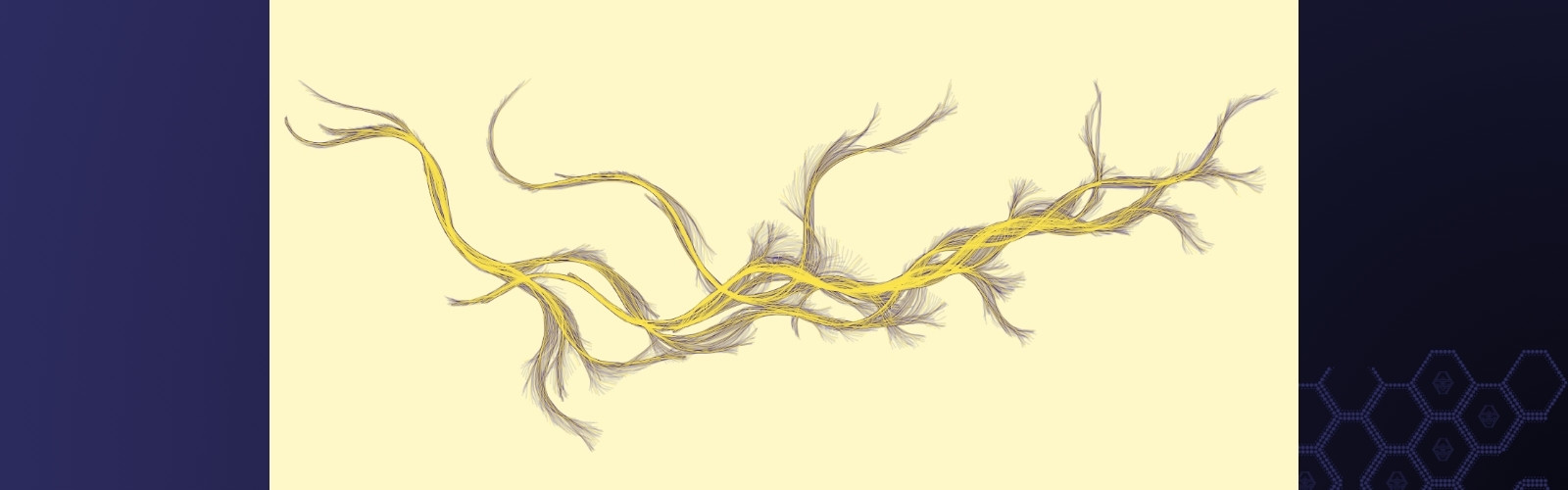 Meet your worm avatar: How microscopic worms are helping find new drugs ...
