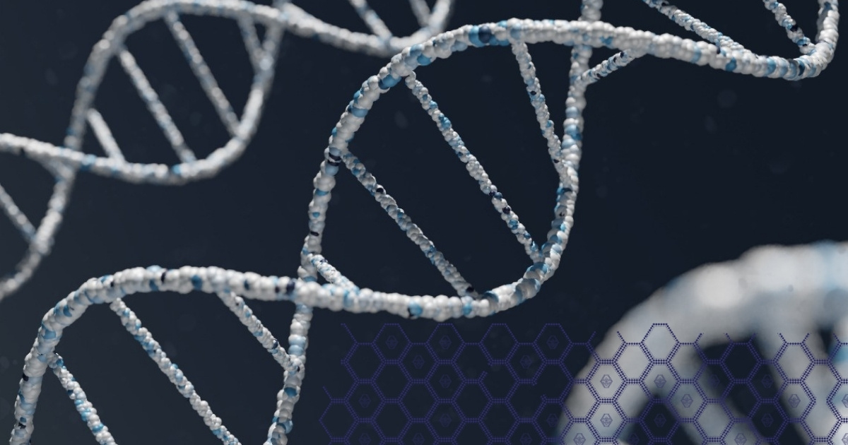 Discovery of failsafe mechanism for accurately replicating DNA across ...