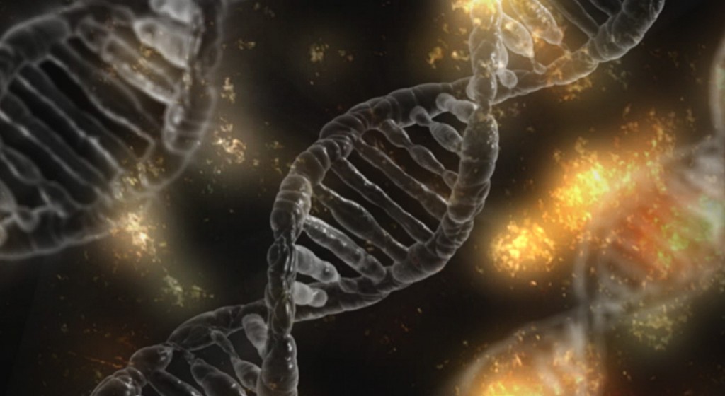 Research offers a fresh insight into gene editing