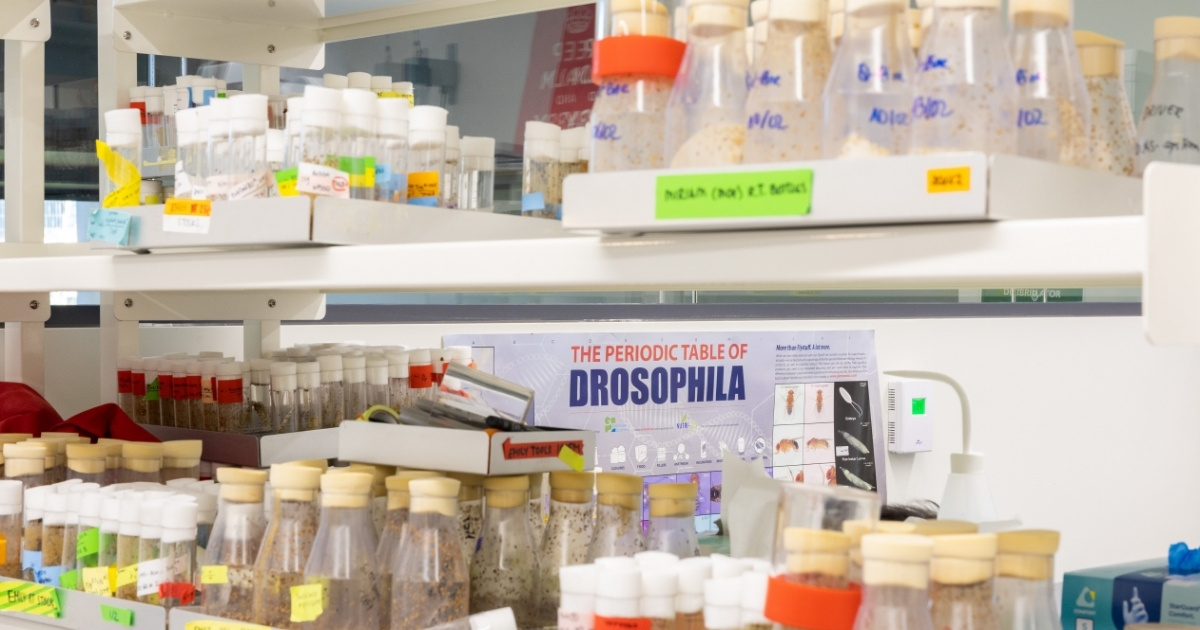 Reducing Lab Waste at the LMS