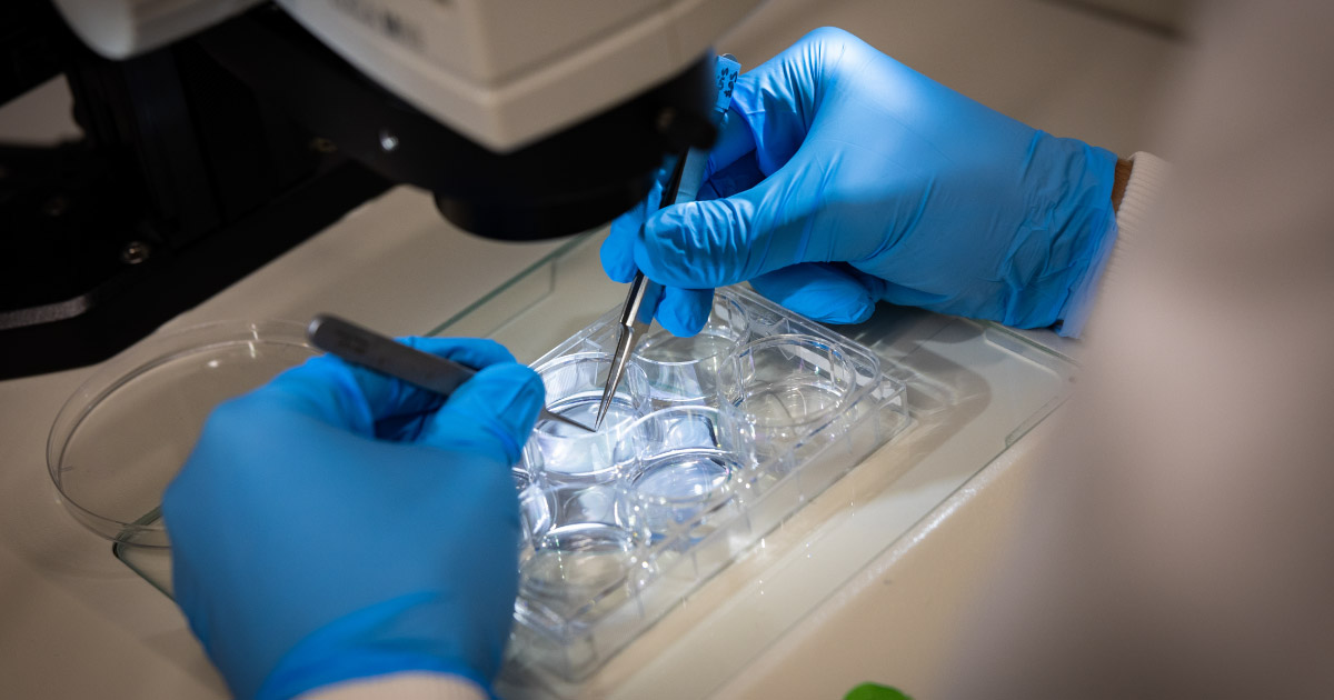 Scientific advisory board (SAB) at the LMS