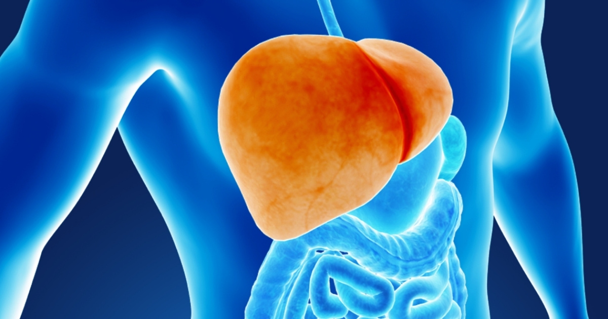 Protein that protects us from liver disease found